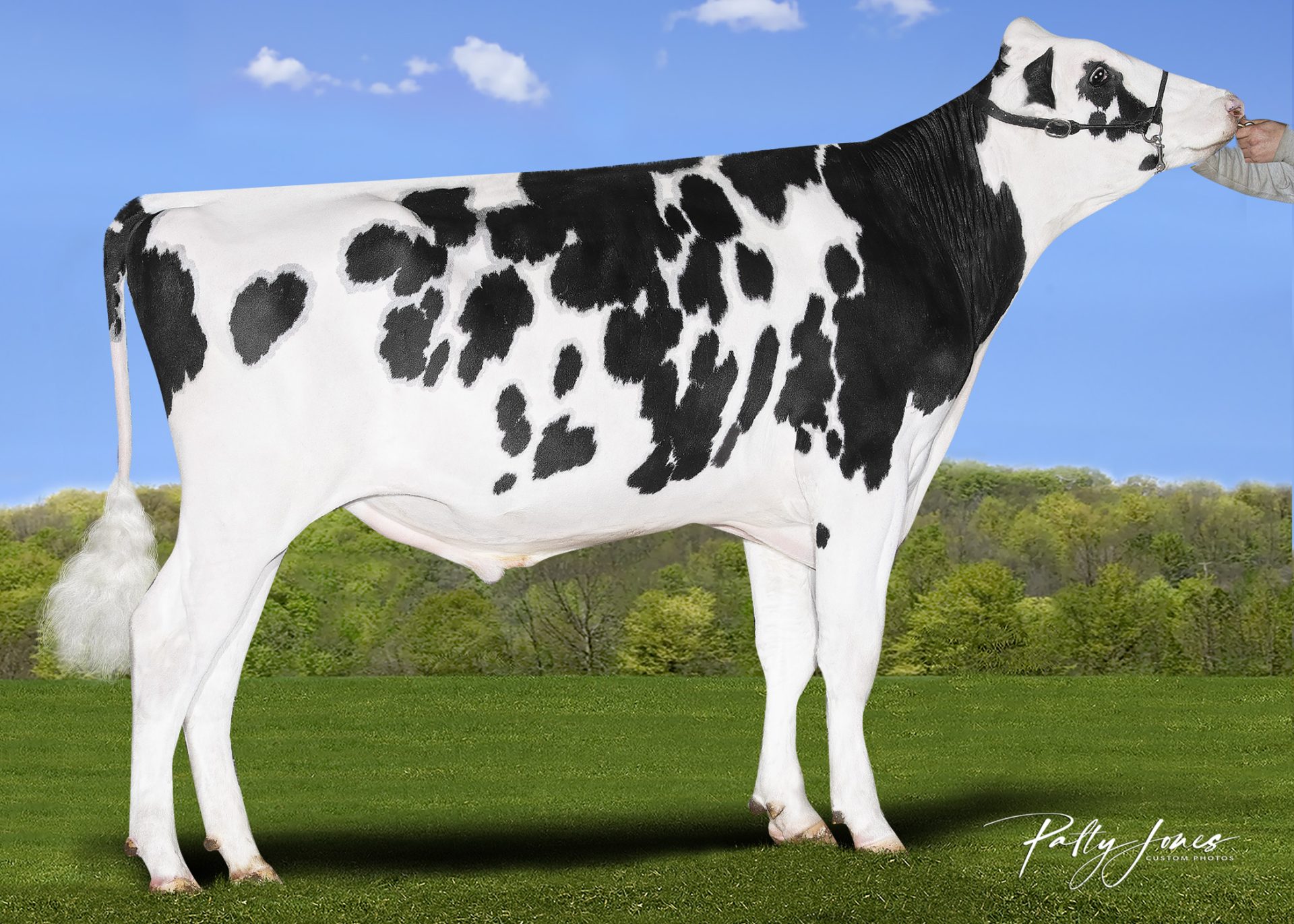 Satellite - AI total