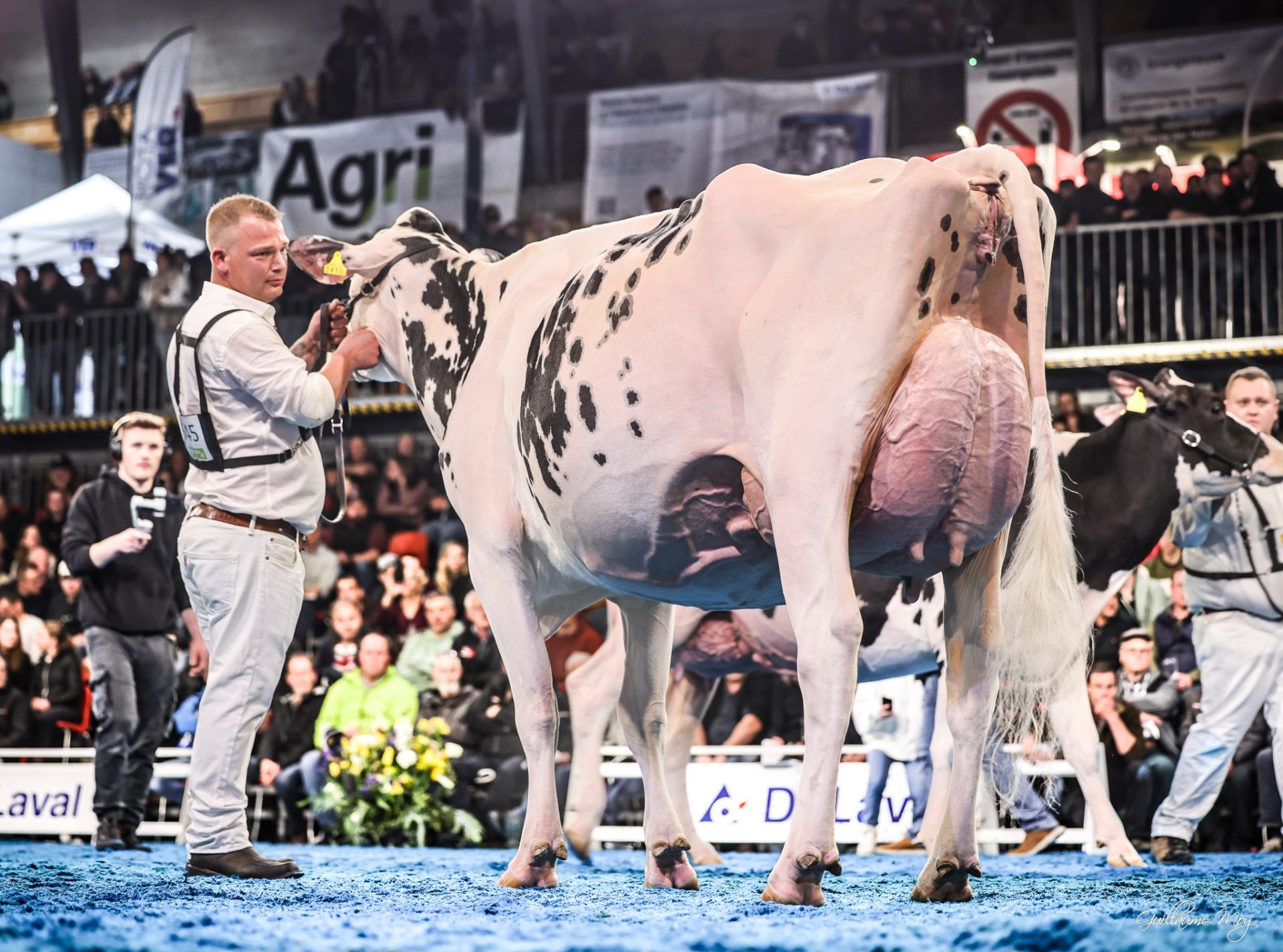 Dochters van AI-Total stieren succesvol tijdens de Expo Bulle 2025 - AI ...